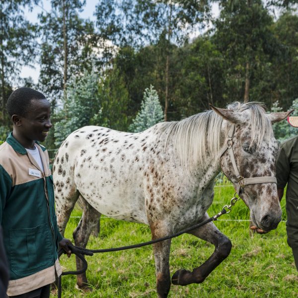 Musanze – Home of Thrilling Adventures – Musanze